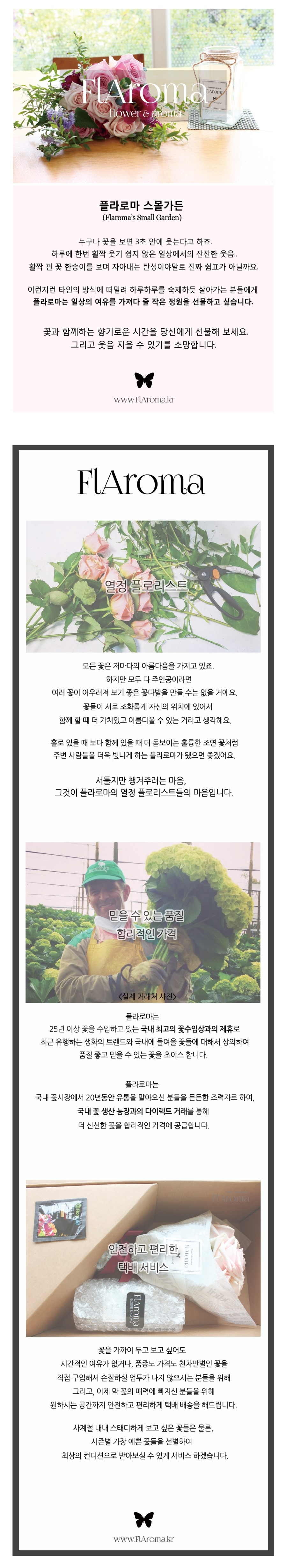 수국 생화 화이트호텔공급용 도매 콜롬비아 직수입 웨딩부케 웨딩꽃장식 꽃다발 수국장식 수국부케 생화꽃배달