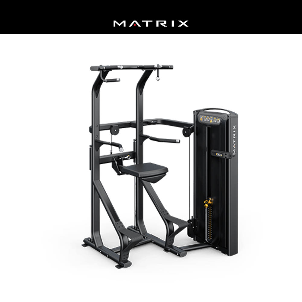 세계휘트니스 1위업체 미국 MATRIX 매트릭스 Versa S601P Combo Chin / Dip Assist 웨이트 기구 ...