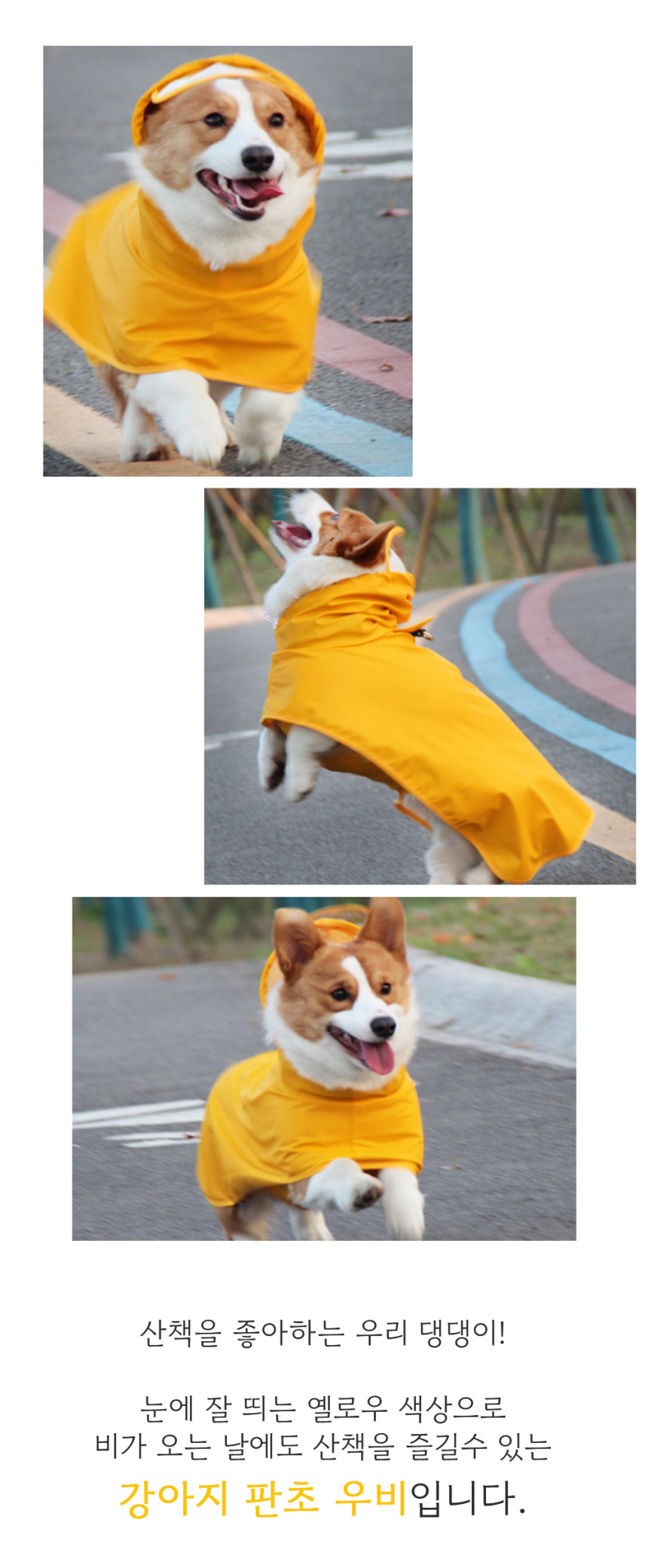 리빙홀릭 강아지 우비 레인코트 노란색 중형 대형 특대형 > 반려·애완용품 | 세상 편리한 생활용품에 홀릭이 되는곳!리빙홀릭