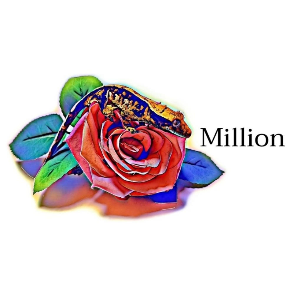 Million