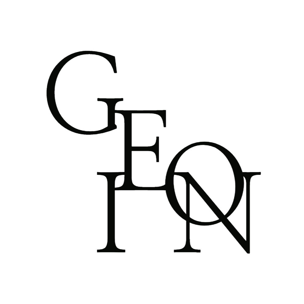 GEOIN