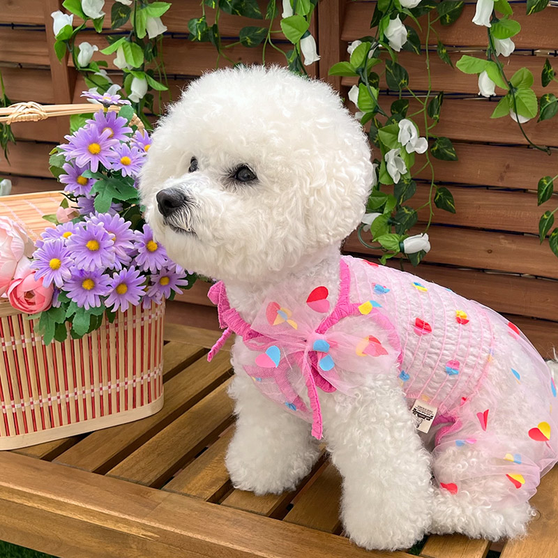 토끼독 엔젤 튜튜 시스루 망사 원피스 올인원 리본핀 세트 (2colors) / 강아지옷 강아지여름옷 S ~ 2XL