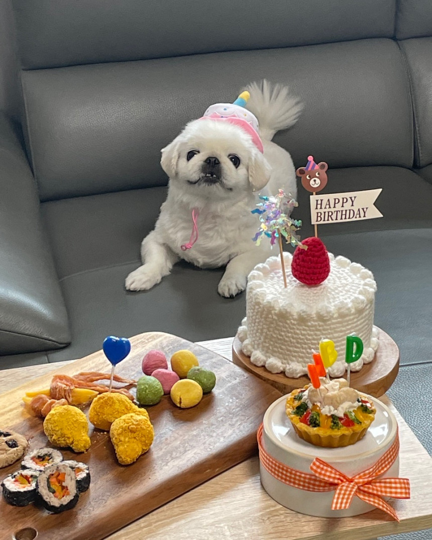 [knityoon] 미니케이크 : 단길