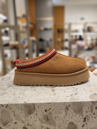 백화점 : 네이버+ 스토어 : 상품상세 : UGG (W)24FW 타즈Tazz 슬리퍼 (1664303519)