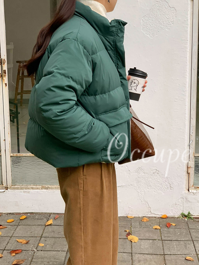 [핑크당일]아잉 캠프 패딩 (3col) areing 숏패딩 덕다운