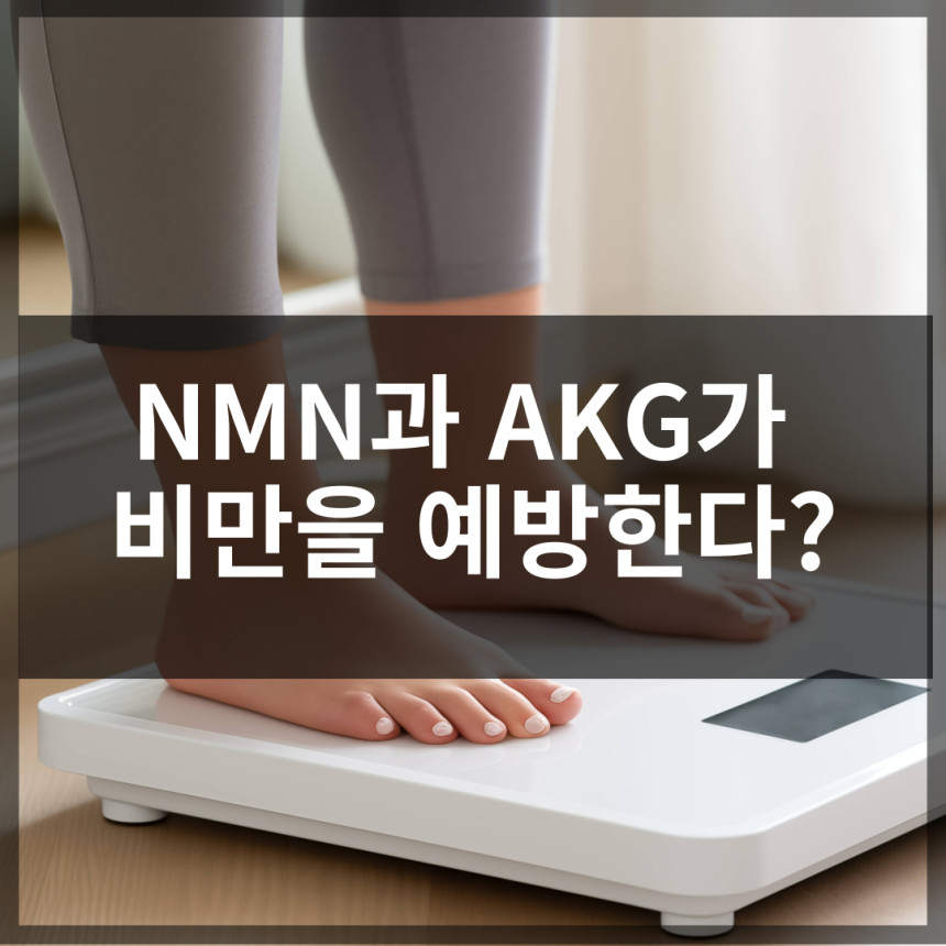 NMN과 AKG가 비만을 예방한다 – ROKIT AMERICA SHOP