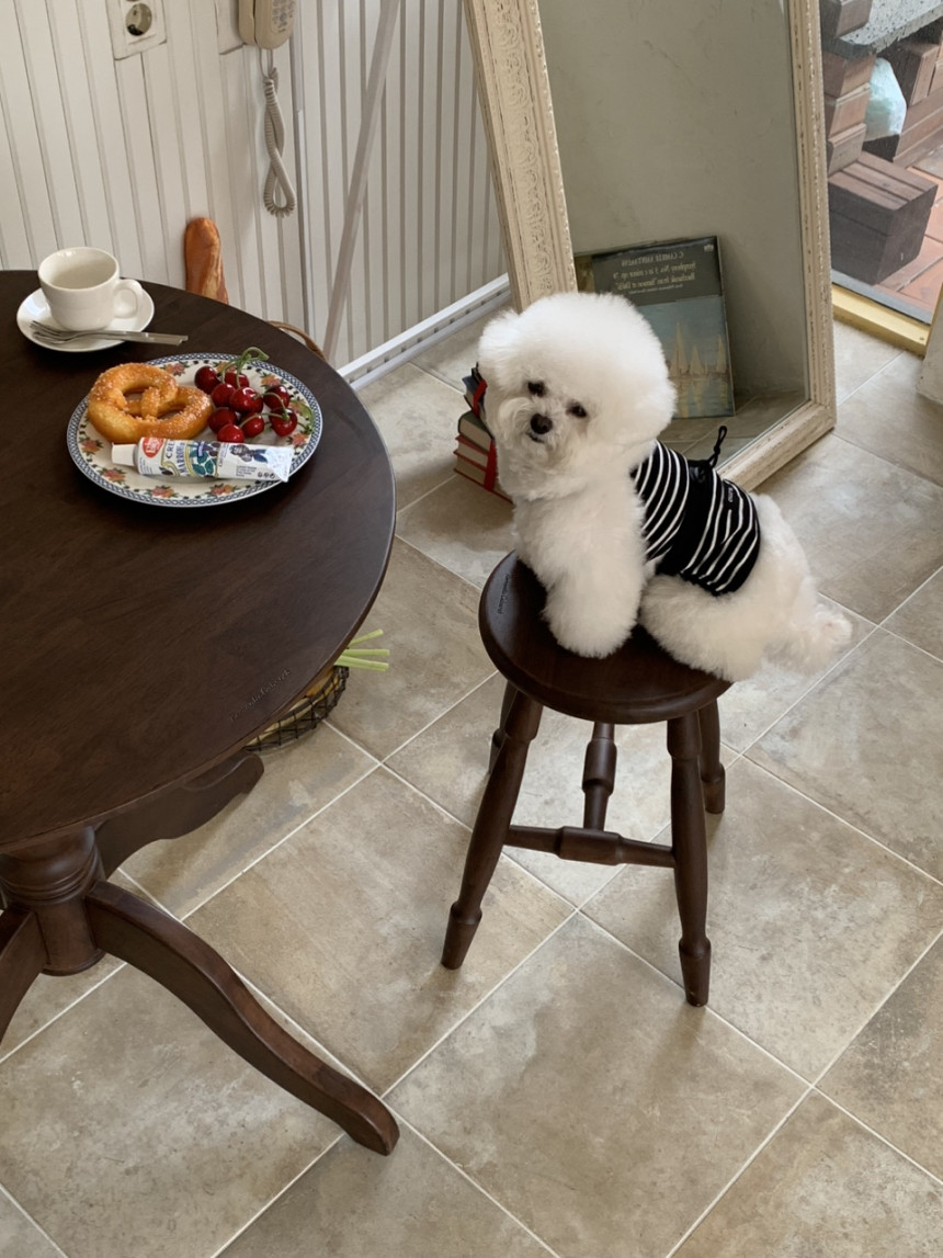 [2차] 썸스트링 투피스(stripe) (블랙)