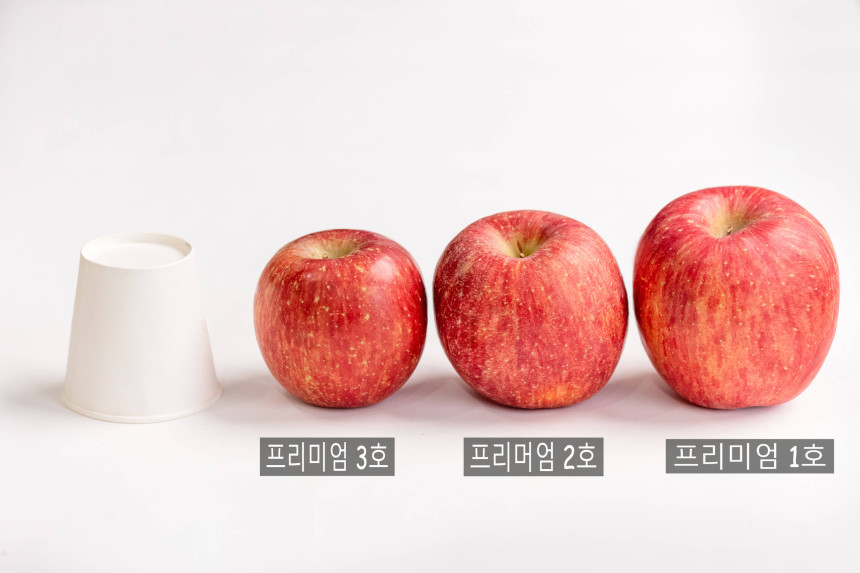 [진솔농원]고당도 꿀사과(부사) 프리미엄2호 3kg, 10~12과 > 사과/배/복숭아 | 사이소