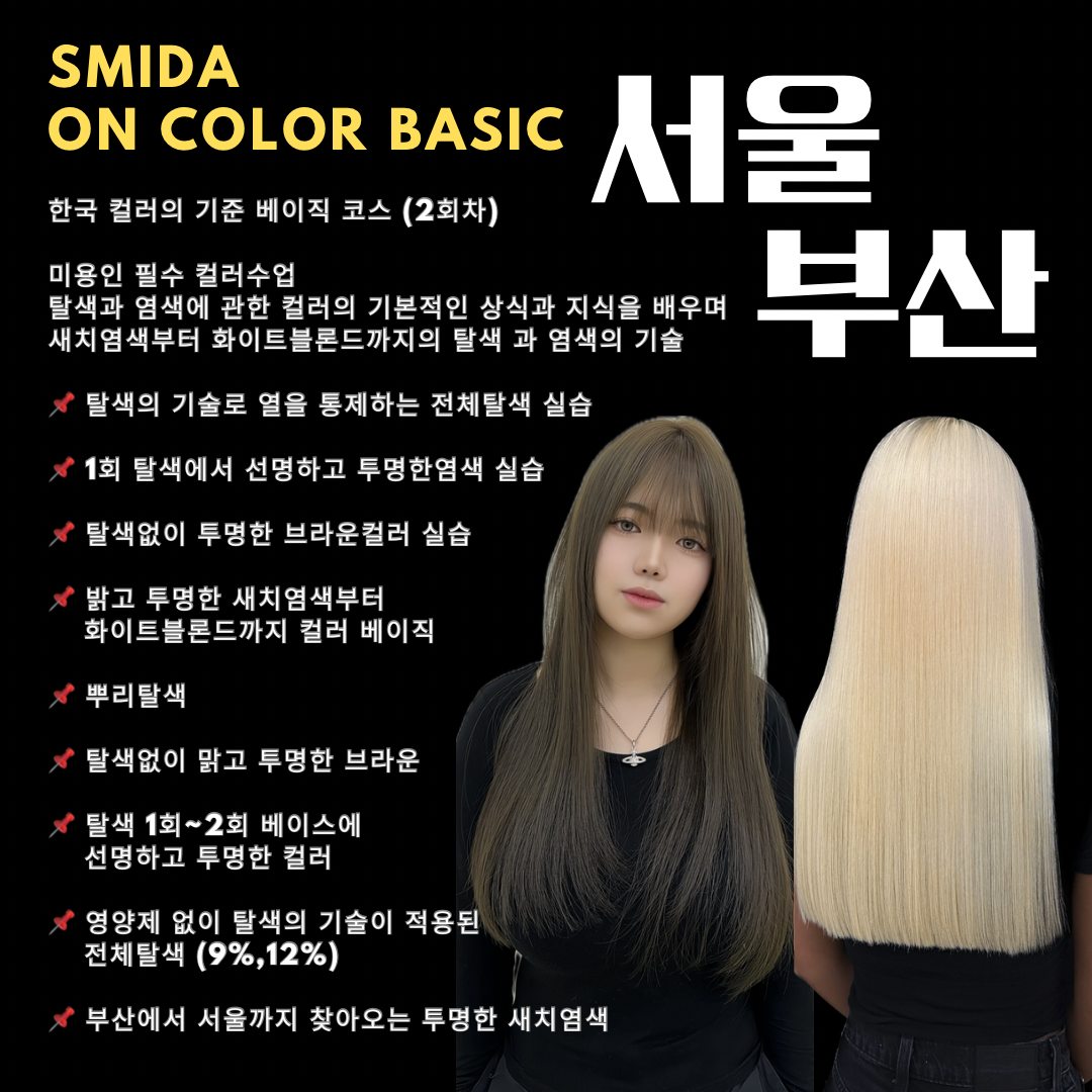 스미다 온 컬러 코스 (2회차) : SMIDA HAIR