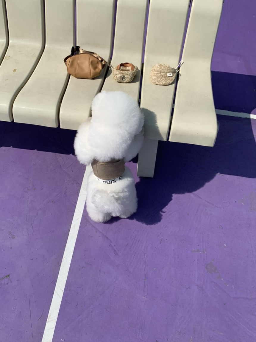 로고 탑 나시 (mocamus) ☕🤎