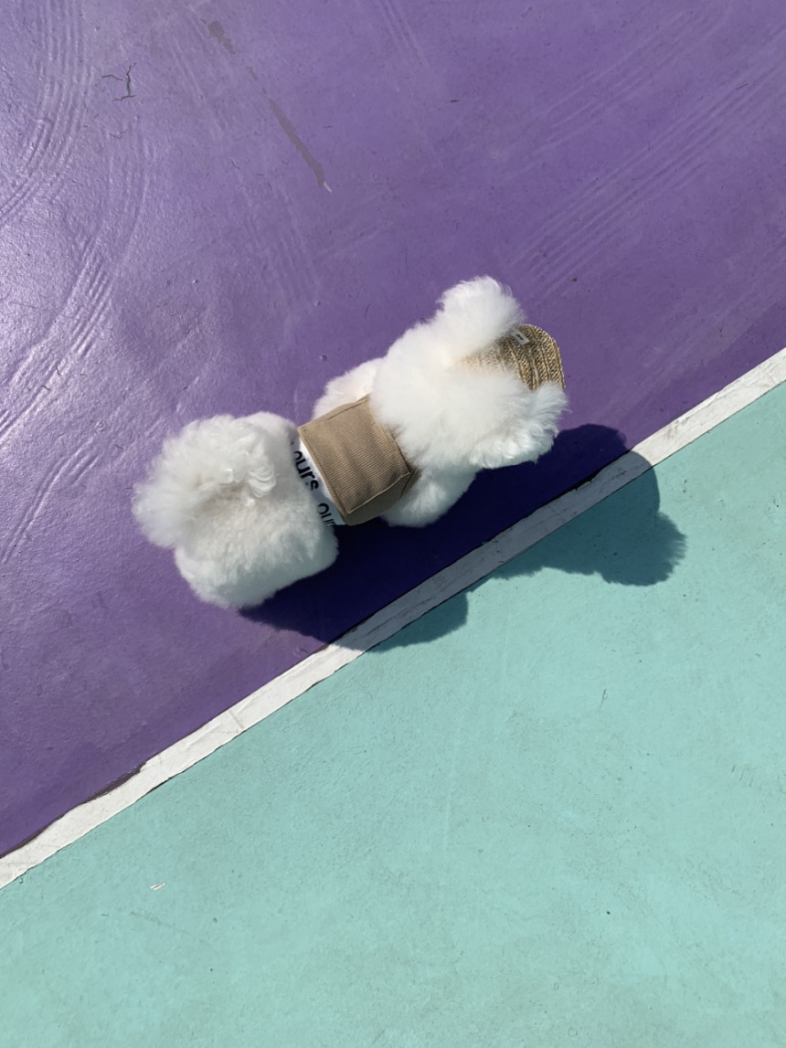 [마감] 로고 탑 나시 (mocamus) ☕🤎