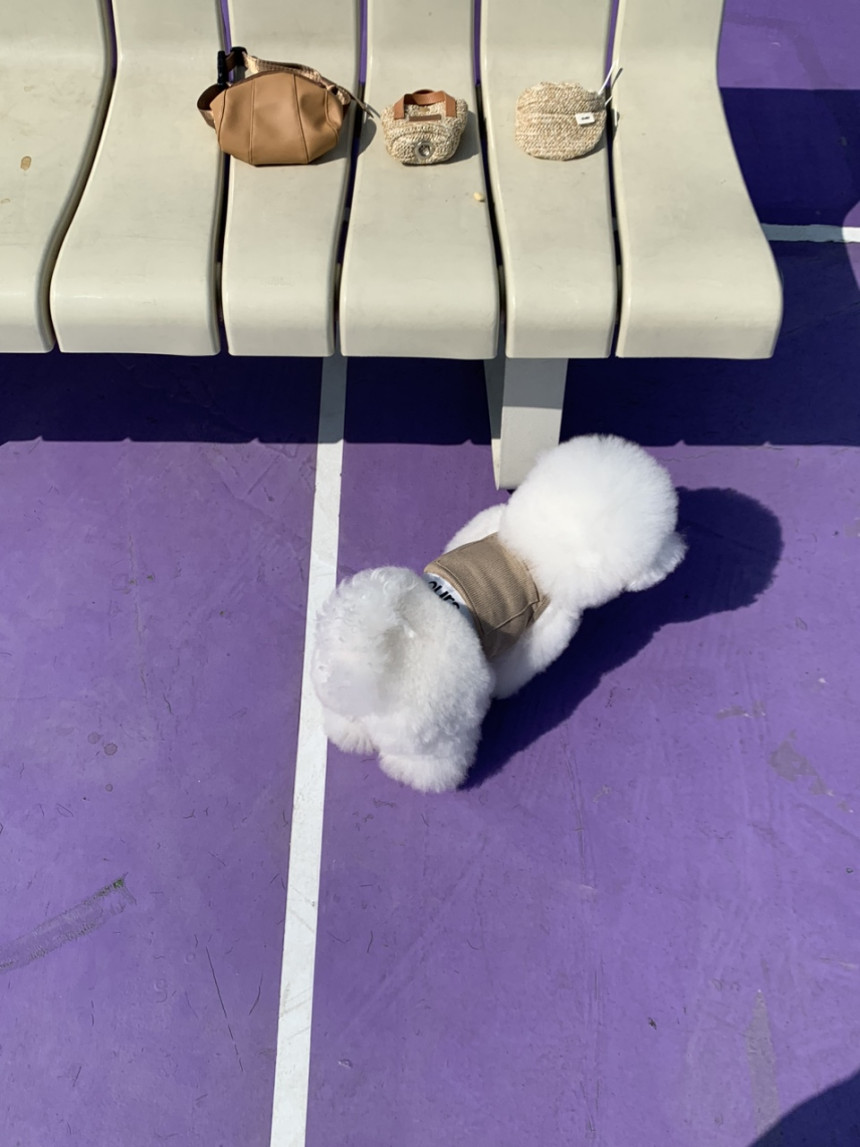 [마감] 로고 탑 나시 (mocamus) ☕🤎