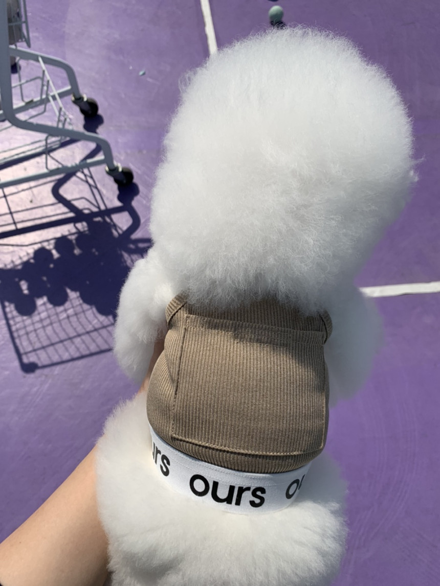 [마감] 로고 탑 나시 (mocamus) ☕🤎