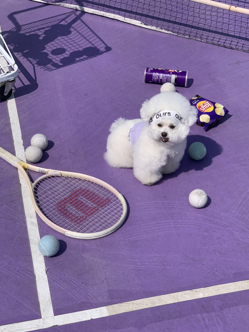 [3차] 로고 탑 나시 (purple) 🔮💜